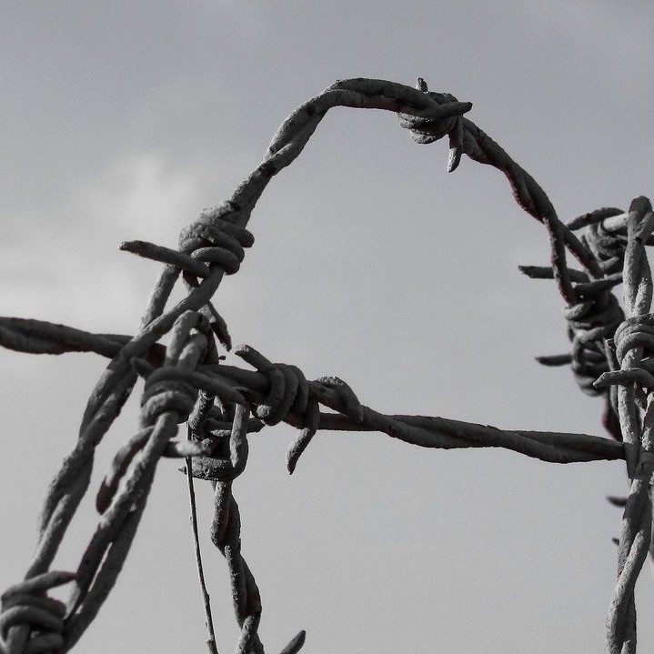 Einblicke – Nelles Institut